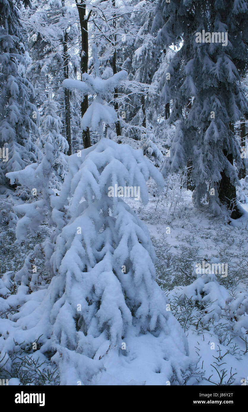 Winter inversion weather hi-res stock photography and images - Alamy