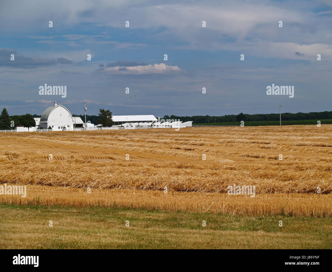 agriculture, farming, field, wheat, farm, straw, house, building ...