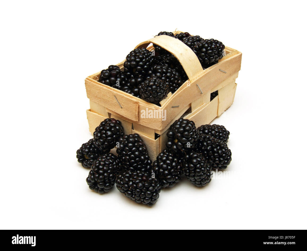 Rubus rubus sectio hi-res stock photography and images - Alamy