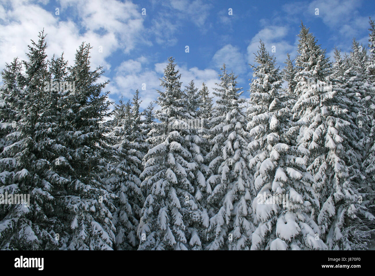 snow in the alps Stock Photo - Alamy