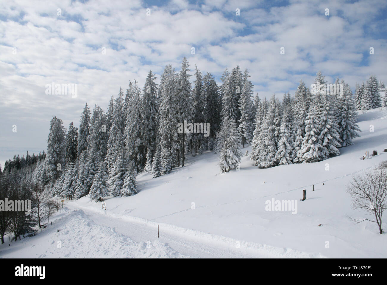 snow in the alps Stock Photo - Alamy