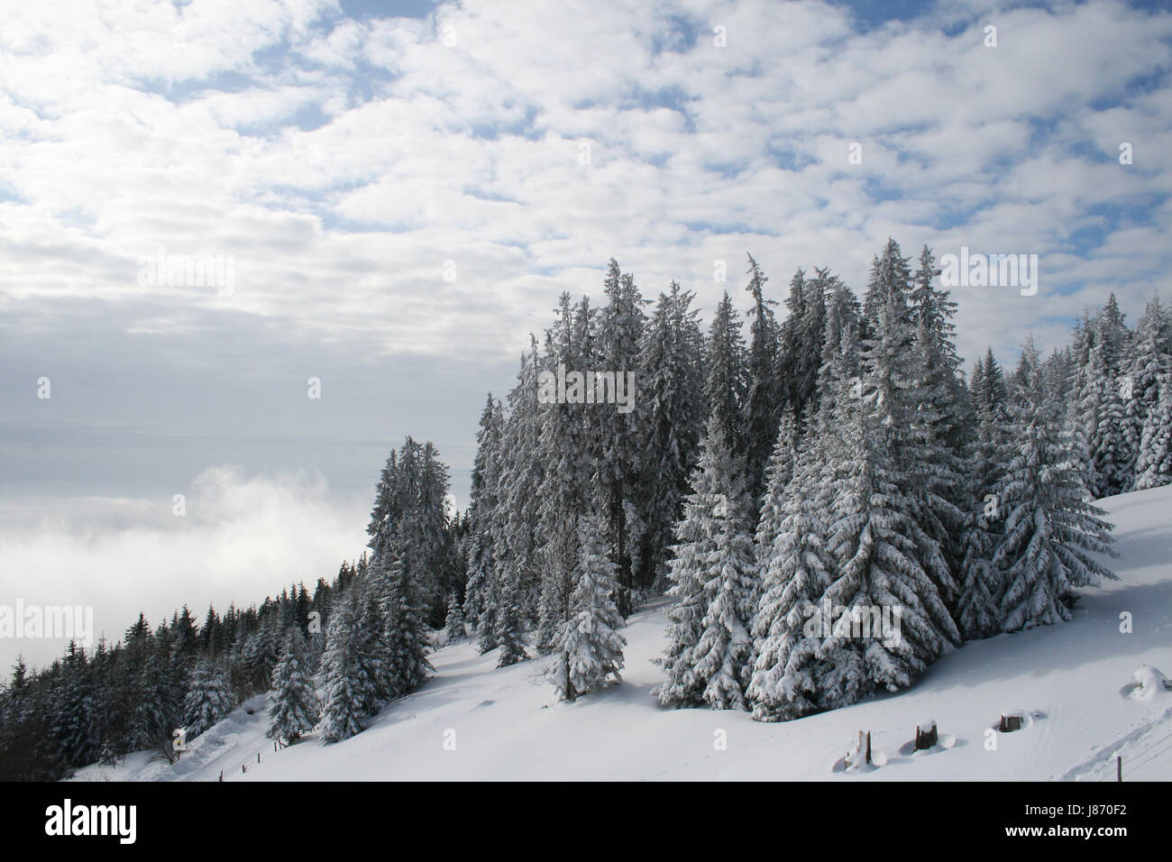 snow in the alps Stock Photo - Alamy