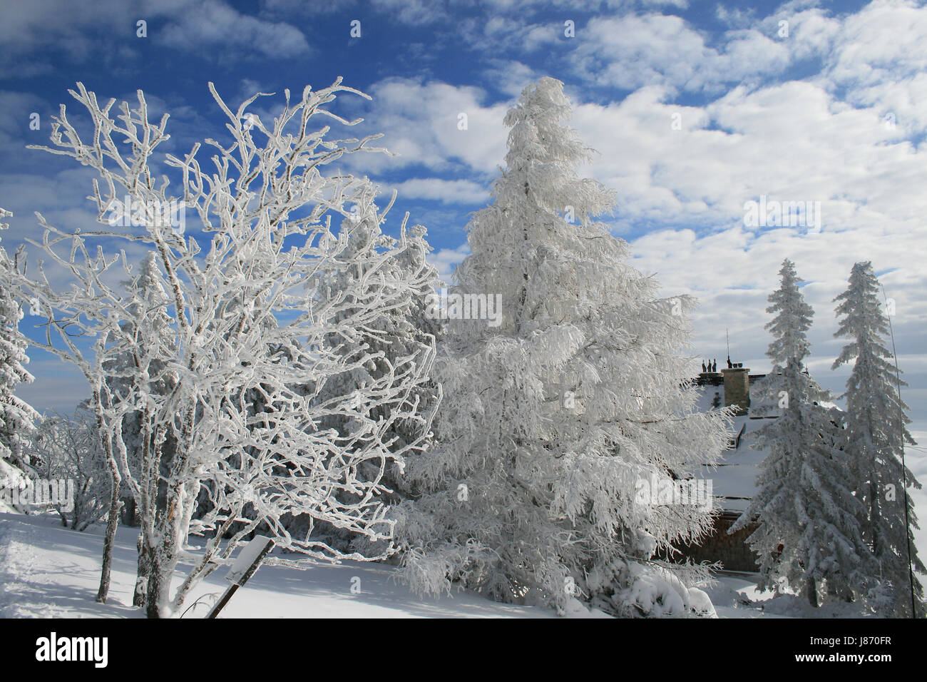 snow in the alps Stock Photo - Alamy