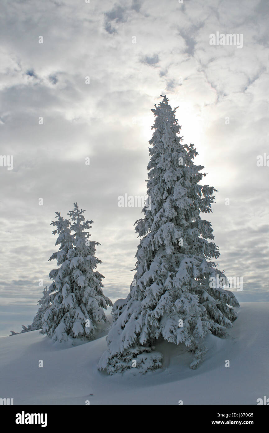 snow in the alps Stock Photo - Alamy