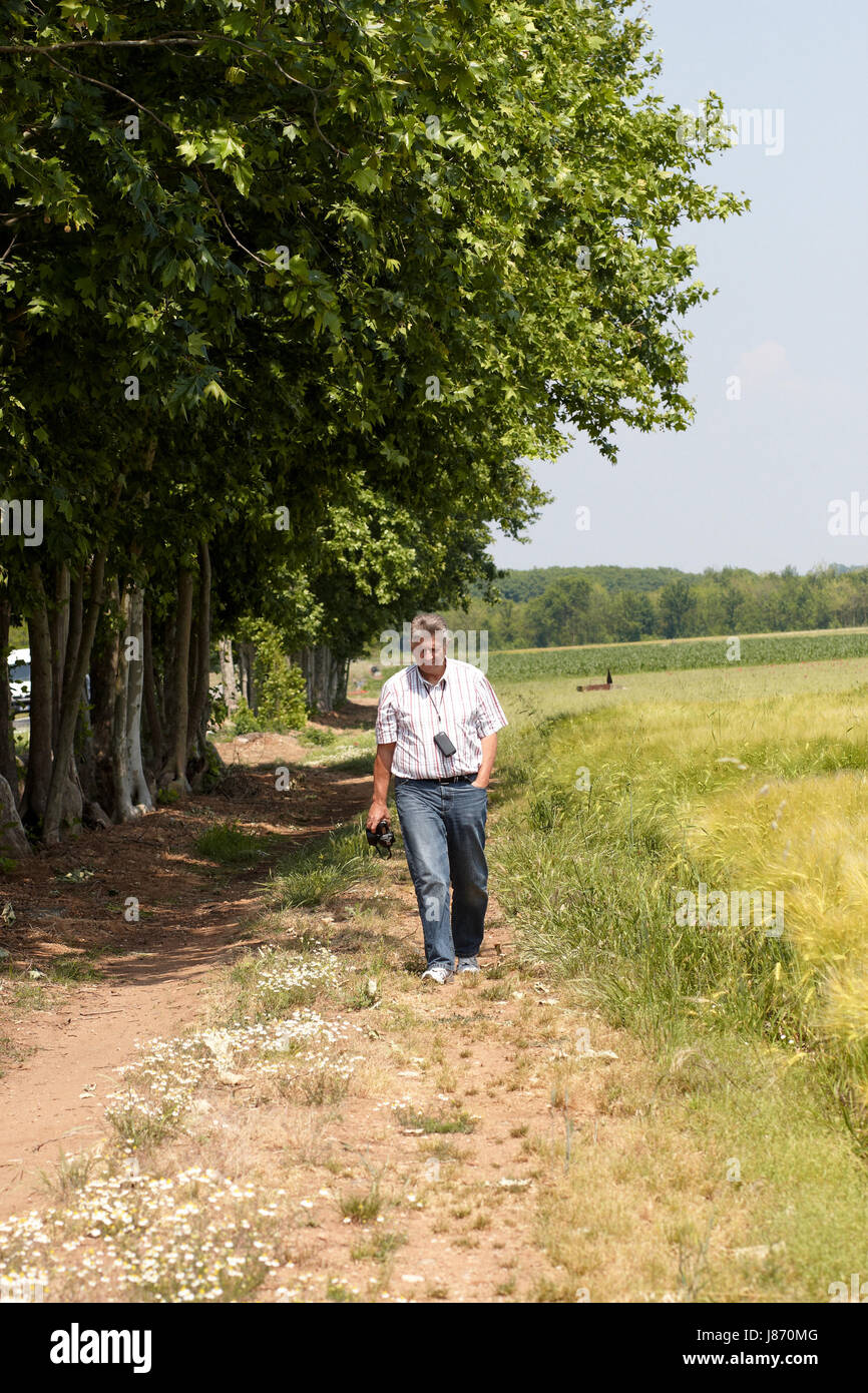 walk, go, going, walking, man, tree, male, masculine, field, sunshine ...