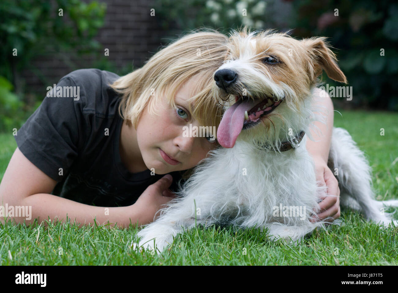 Friendship animals hi-res stock photography and images - Alamy