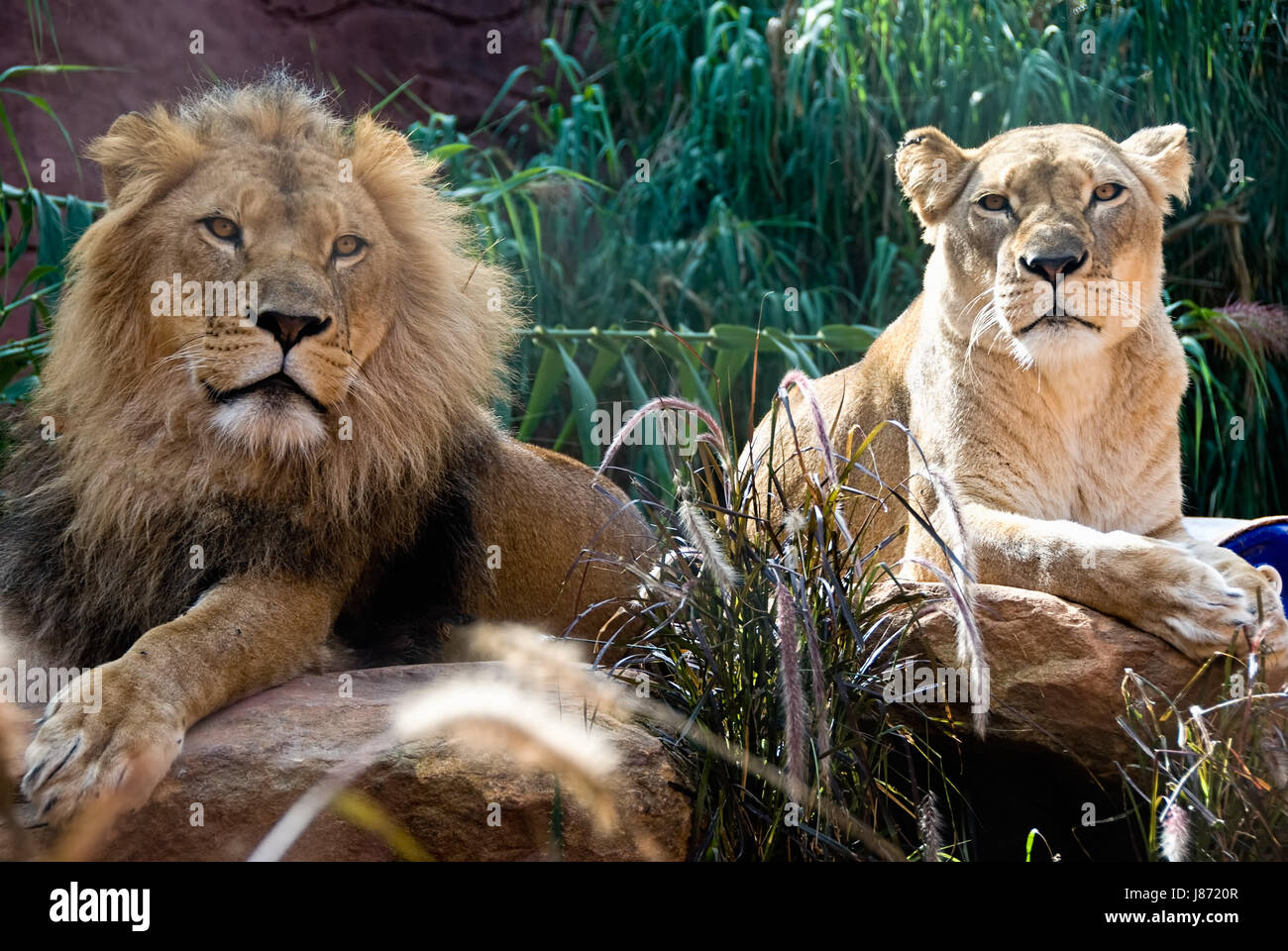 danger, big, large, enormous, extreme, powerful, imposing, immense ...