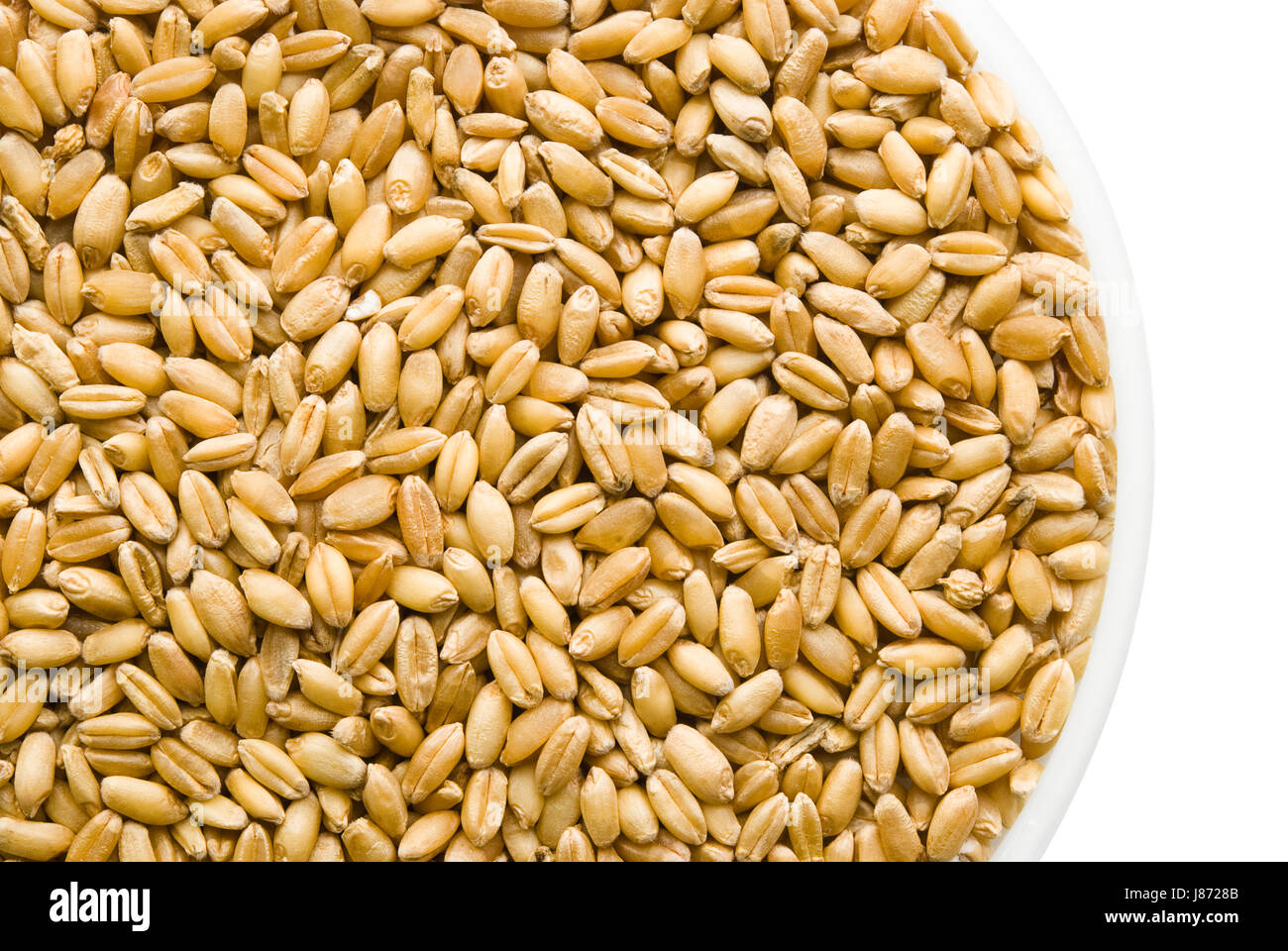 gold wheat texture on white background Stock Photo - Alamy