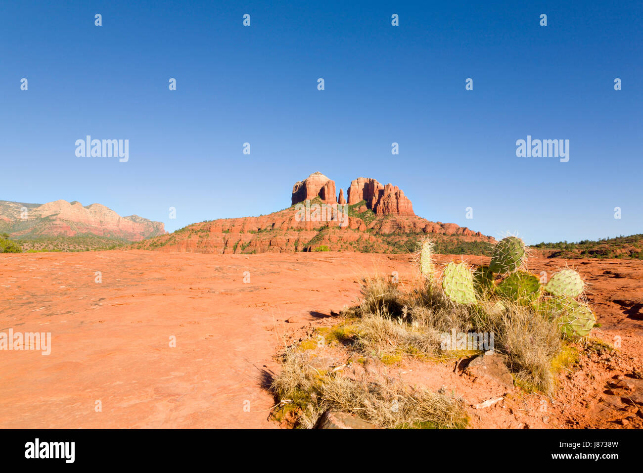 desert, wasteland, cathedral, arizona, landscape, scenery, countryside ...