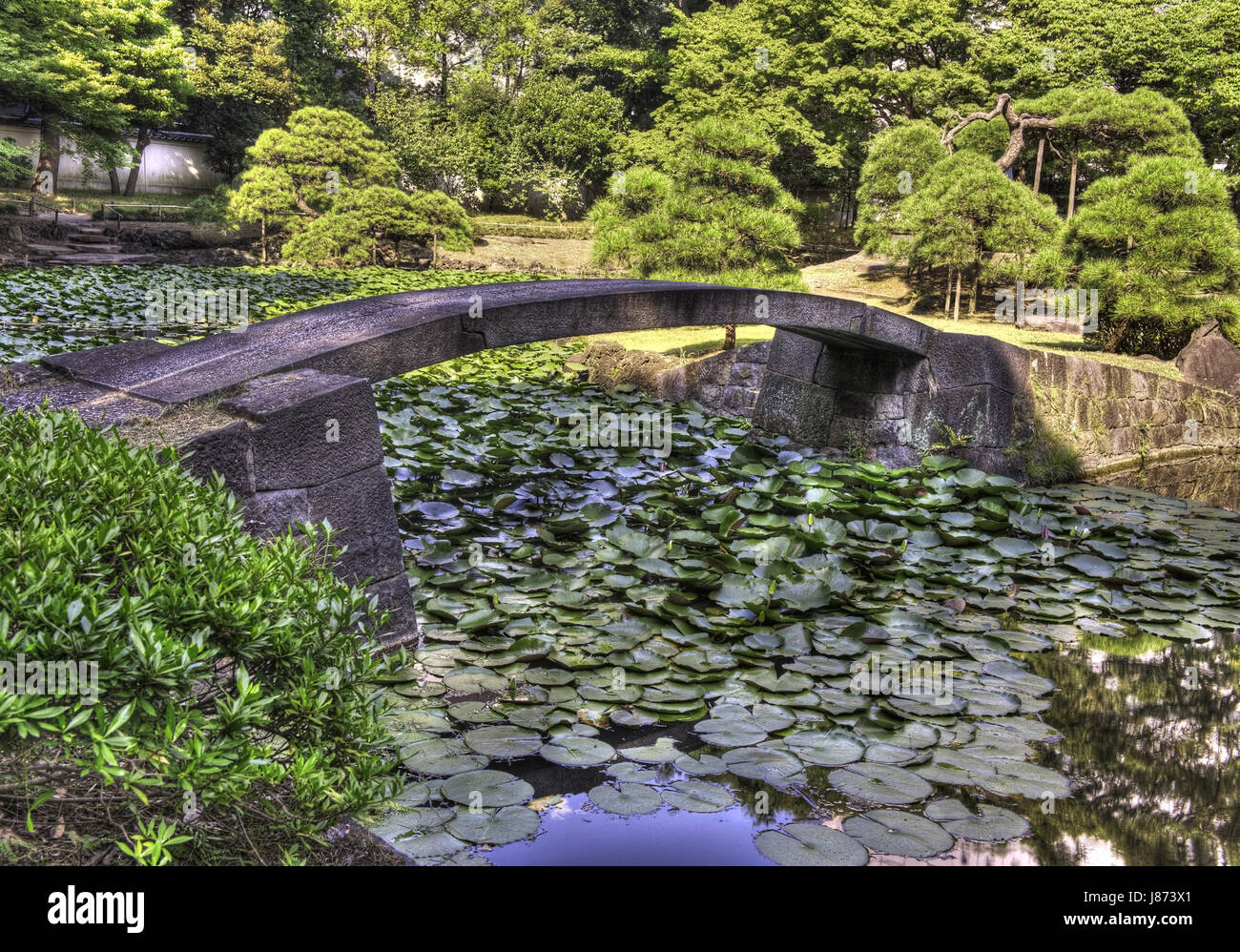 garden, japanese, japan, landscape, scenery, countryside, nature, tokyo ...