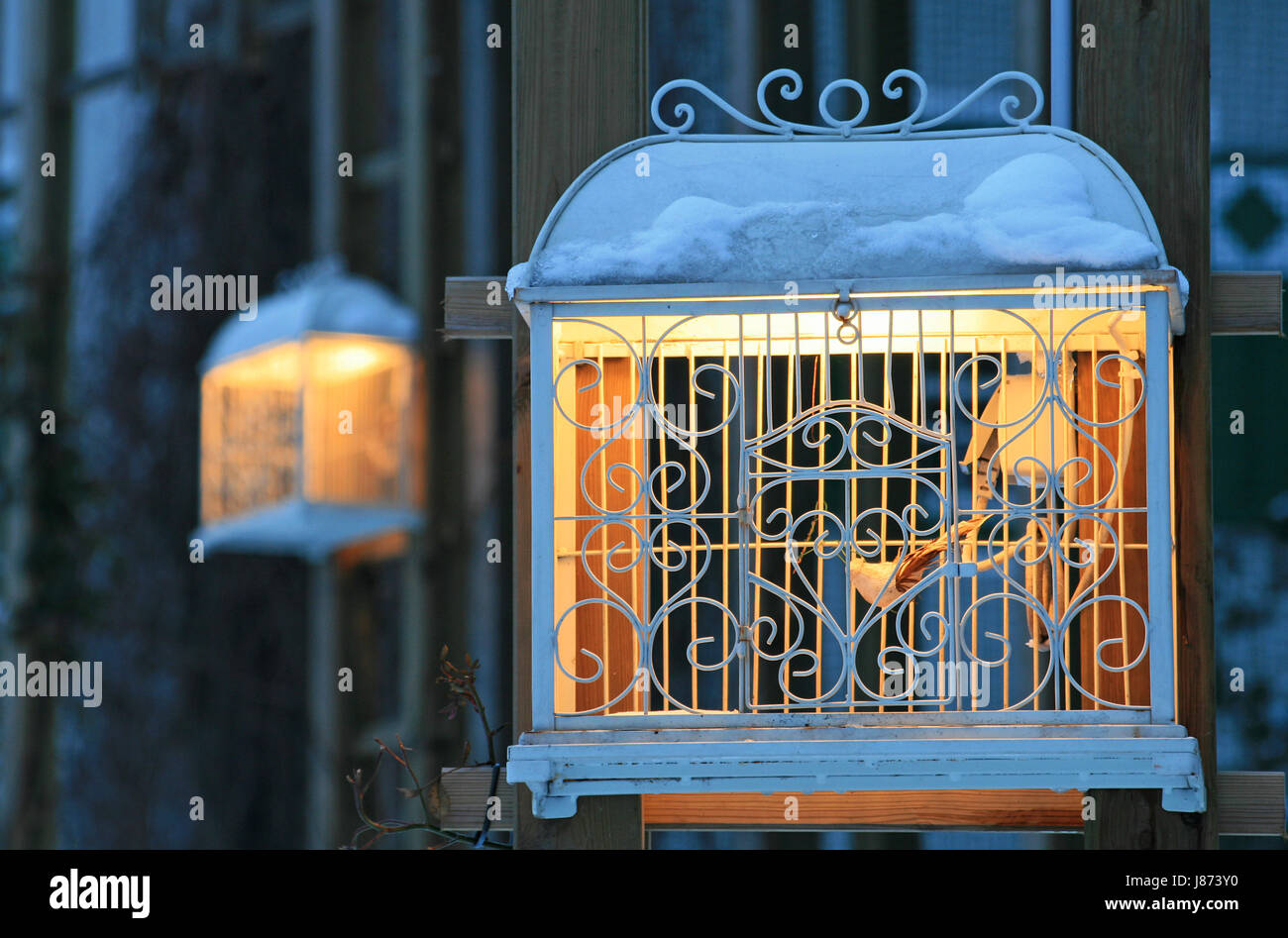 Cage and bird hi-res stock photography and images - Alamy