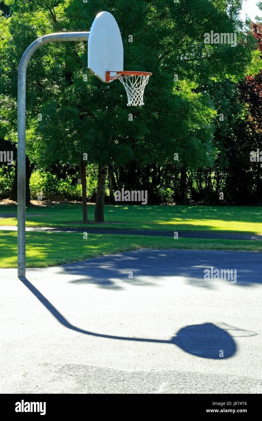 sport, sports, game, tournament, play, playing, plays, played, tree ...