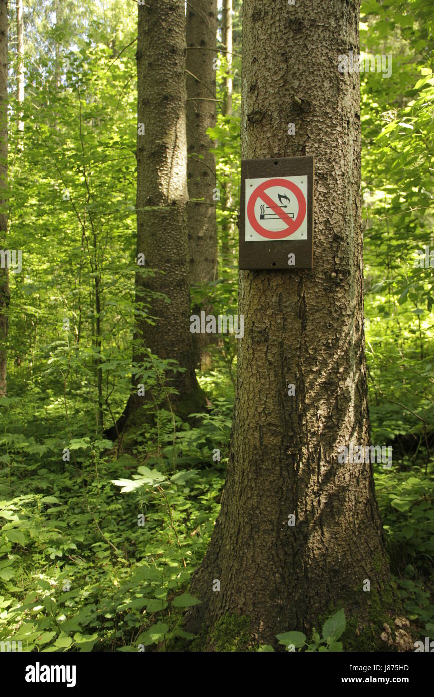 Cigarette fire hazard on forest hi-res stock photography and images - Alamy