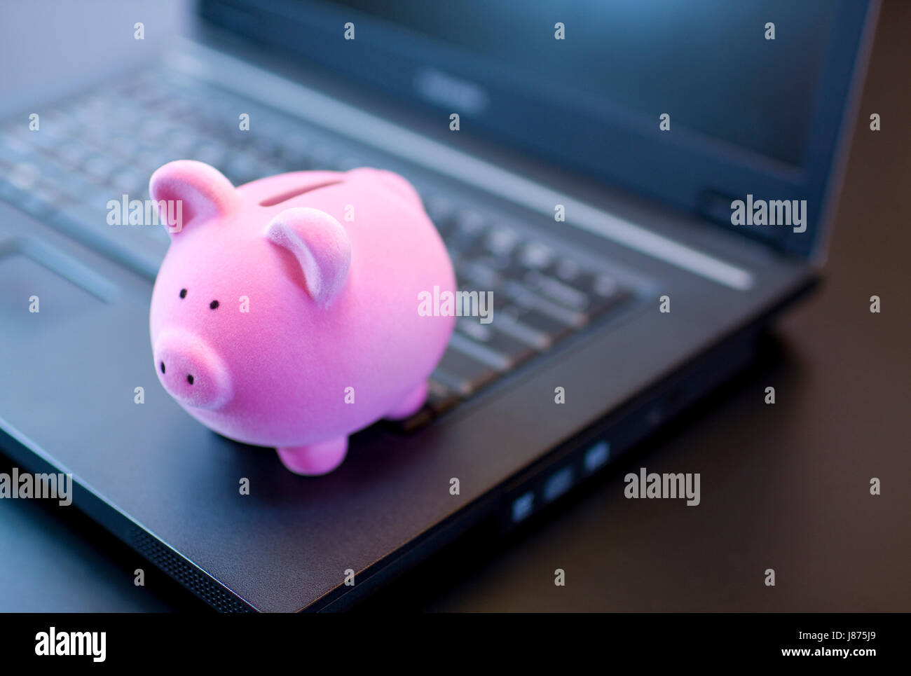 bank, lending institution, laptop, notebook, computers, computer ...