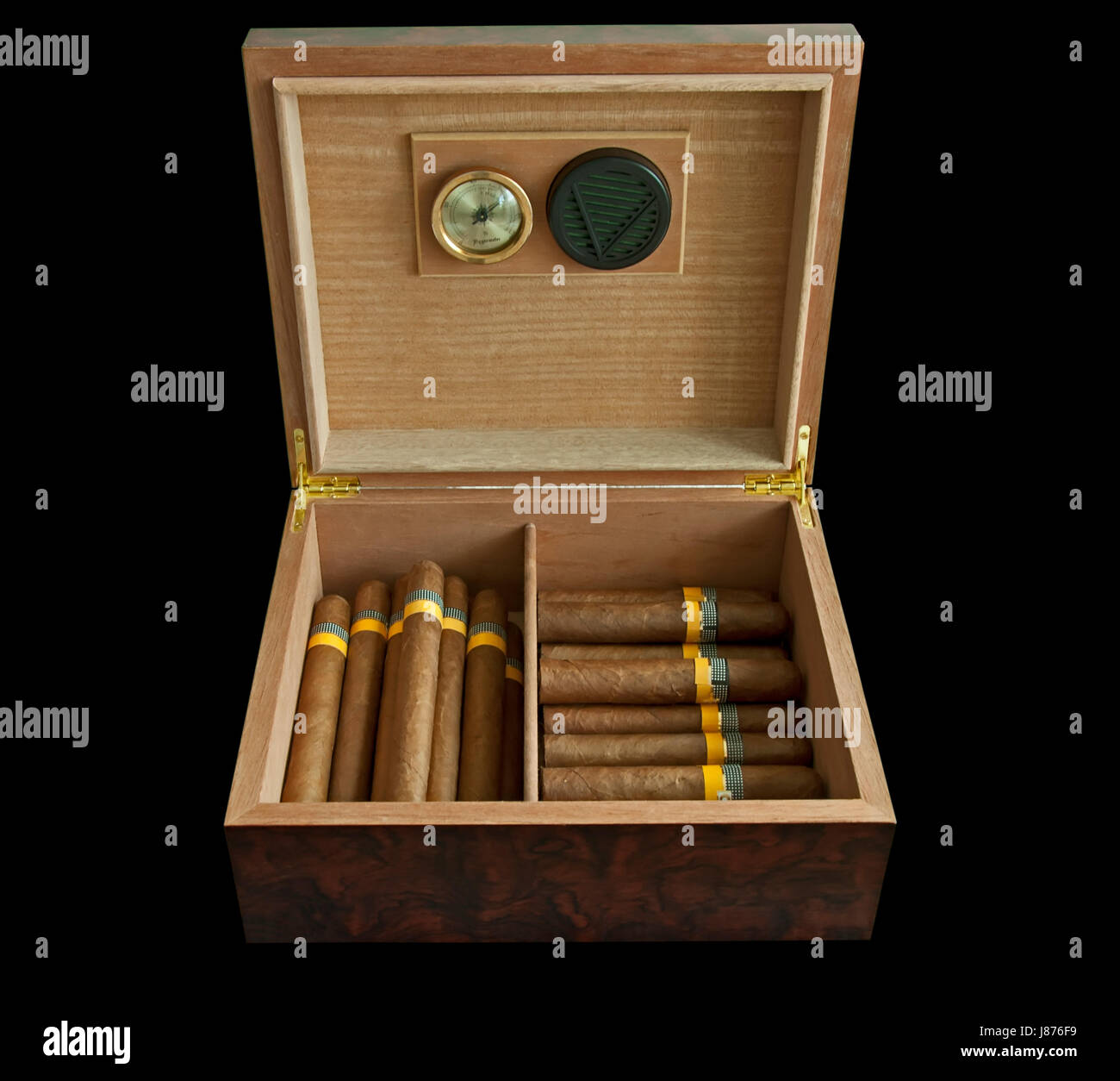 cigarette cigar leaf object objects culture isolated lifestyle tree ...