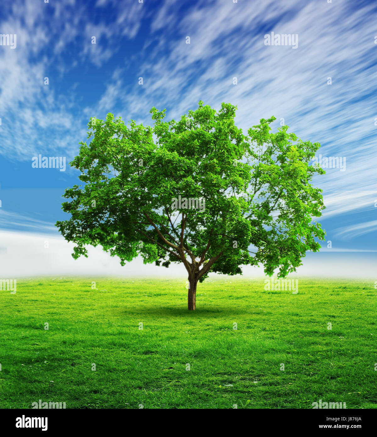 blue tree outside meadow blue environment enviroment tree horizon green ...