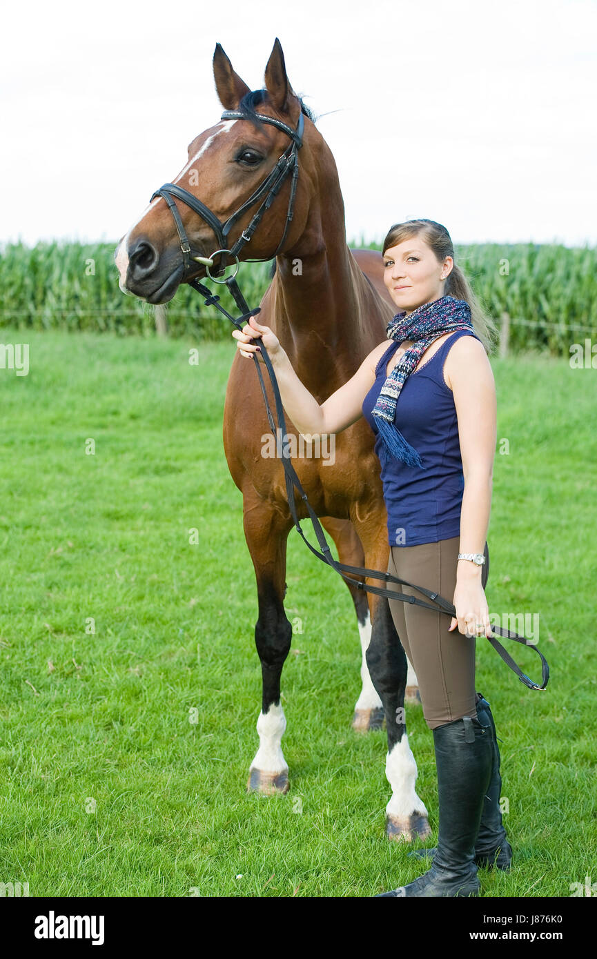 Springreiterin hi-res stock photography and images - Alamy