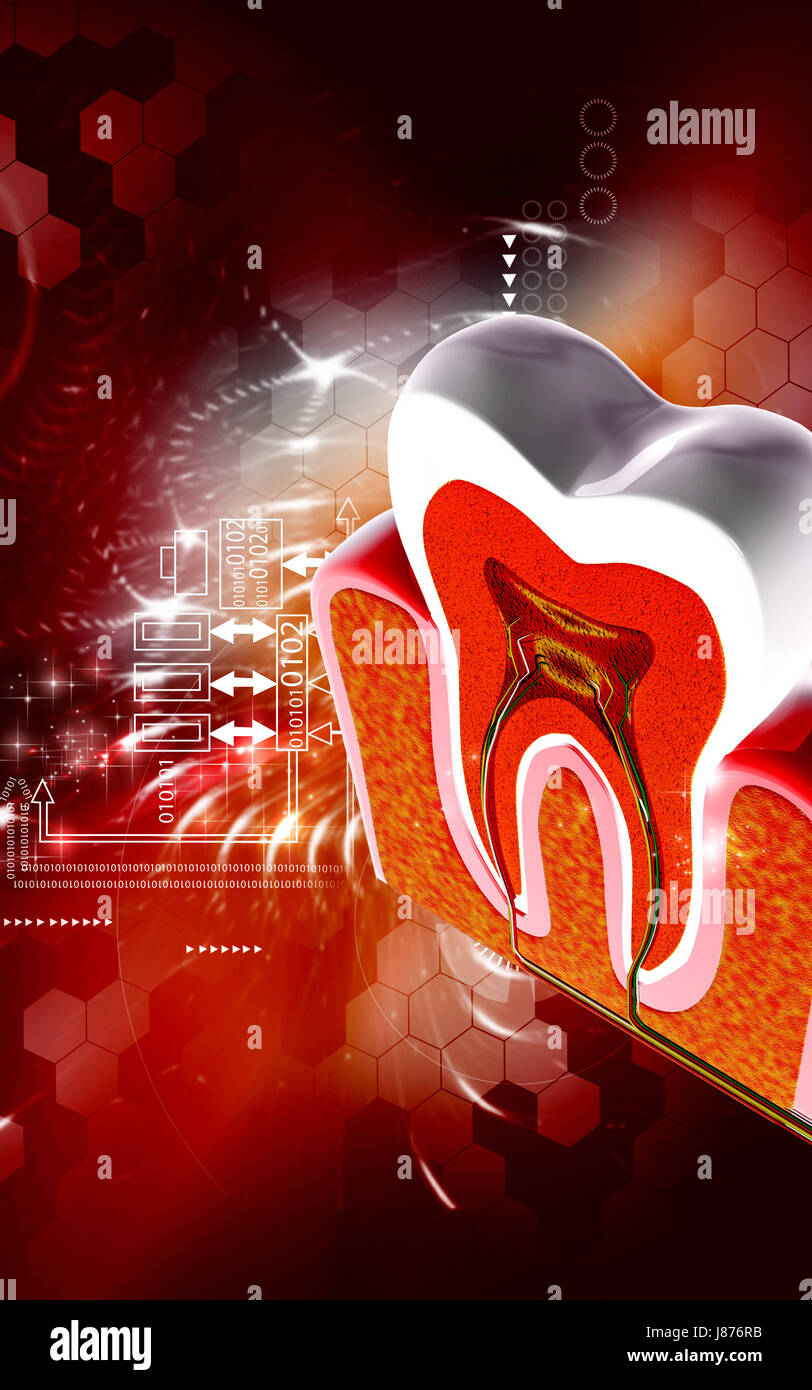 education graphics colour closeup science teeth illustration ...