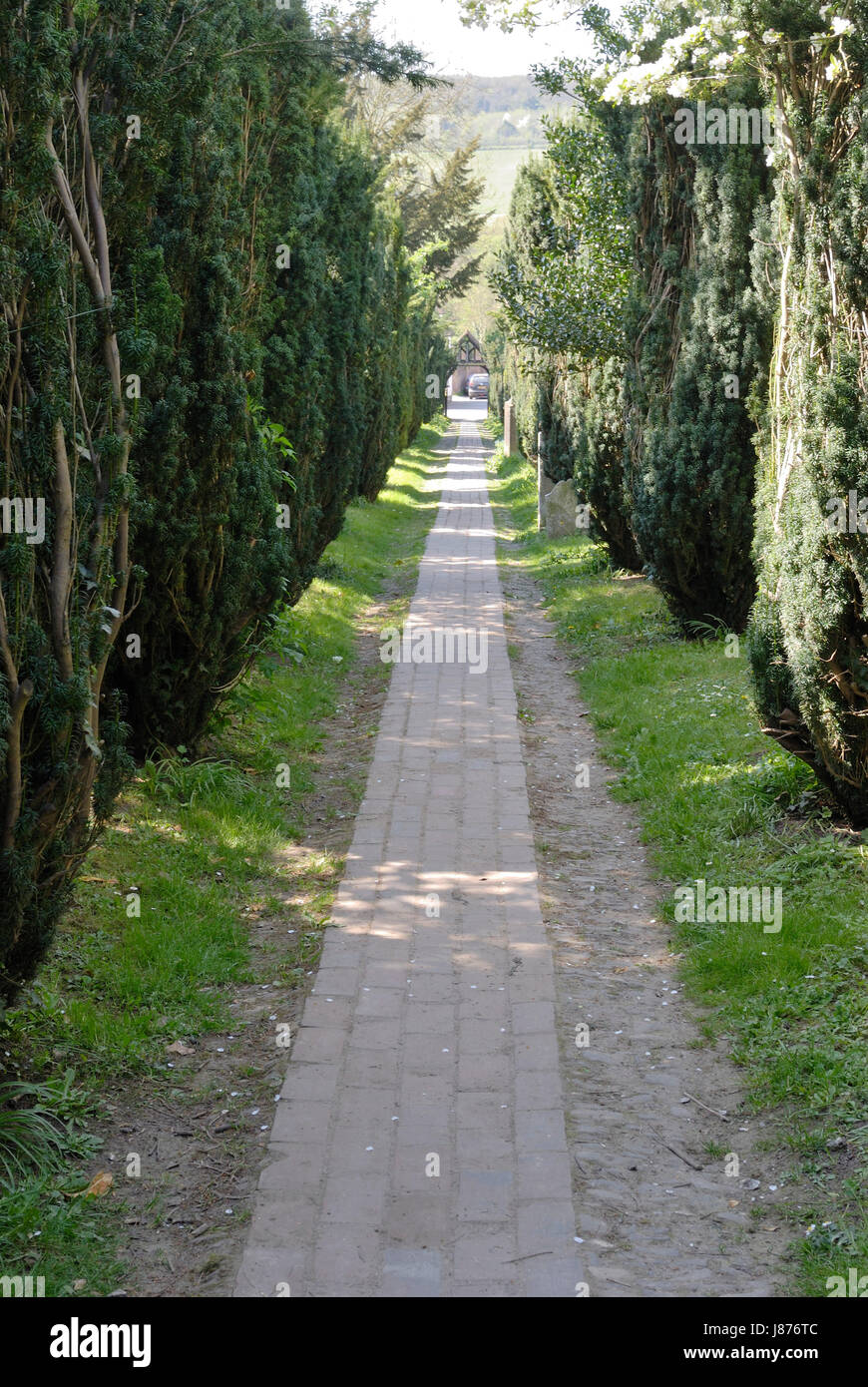 entrance pavement england brick walkway path way tree straight kent ...
