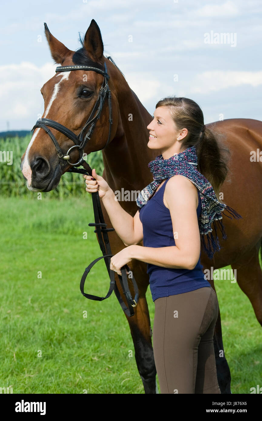 Springreiterin hi-res stock photography and images - Alamy