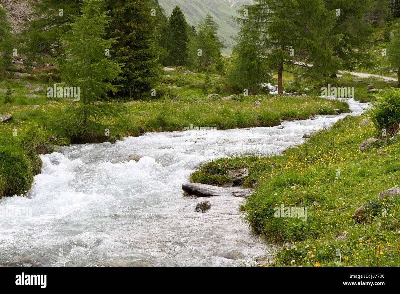 mountains hike go hiking ramble stream forest migrate nature ...