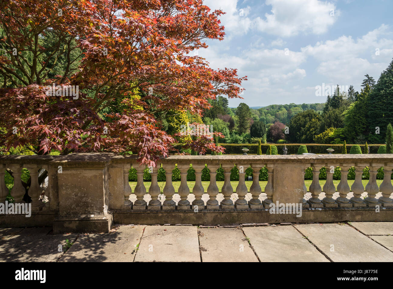 Sunny terrace at Thornbridge hall gardens near Great Longstone ...