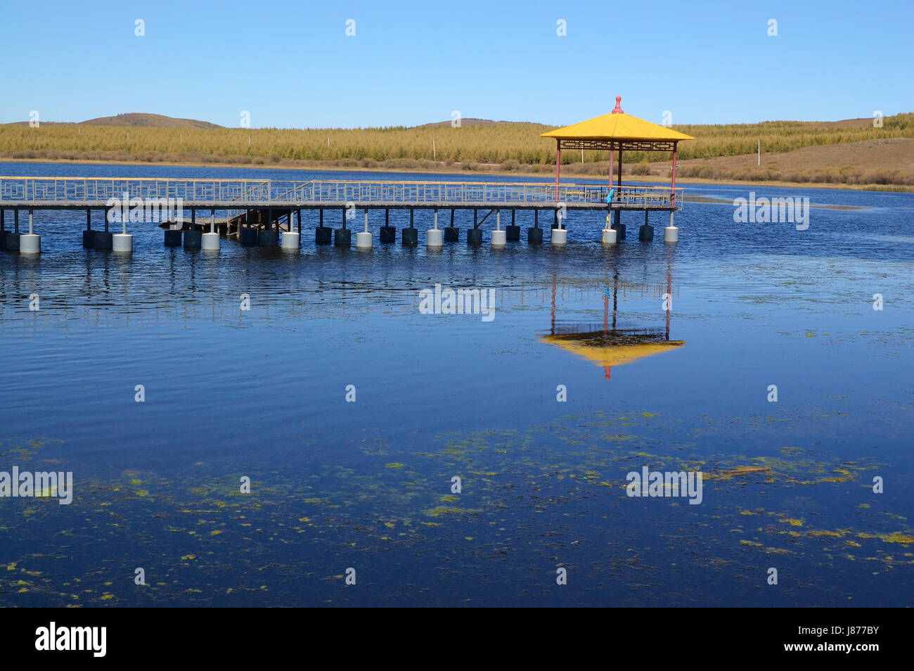 blue corridor bush china chinese aisle beauty fall autumn blue corridor ...
