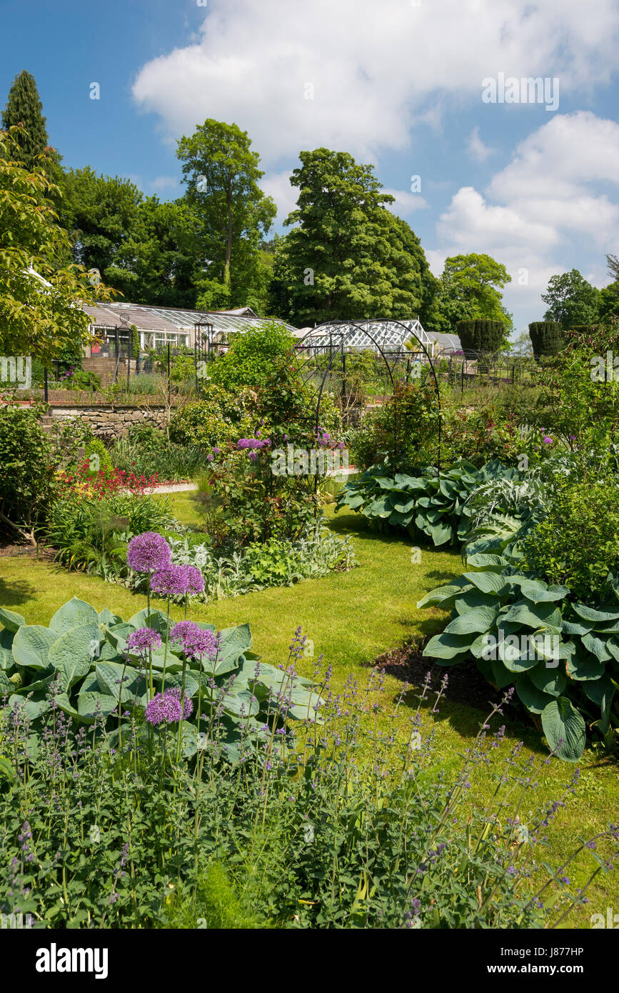 Scented terrace at Thornbridge hall gardens near Great Longstone ...