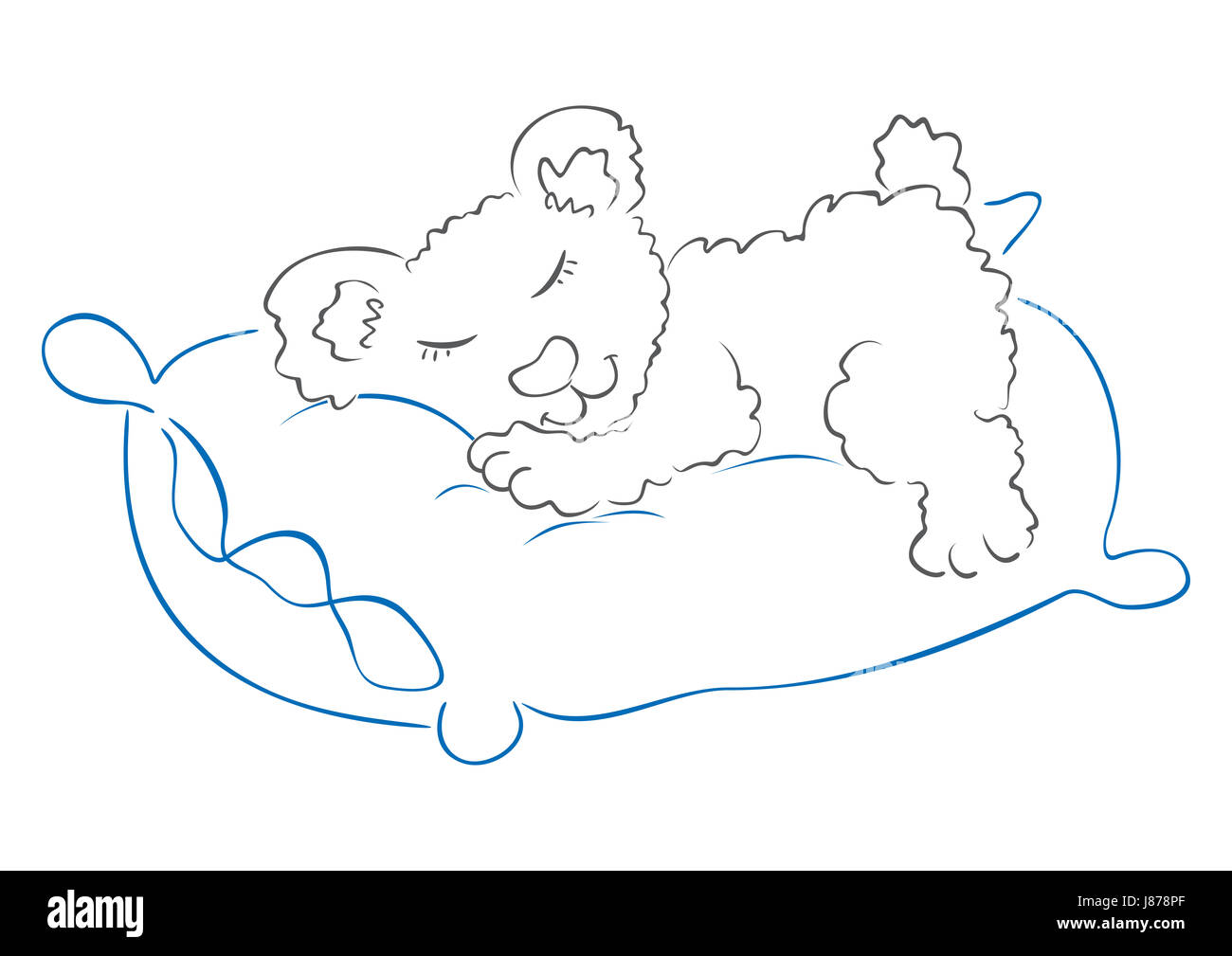 Teddy bear isolated sleep hi-res stock photography and images - Alamy
