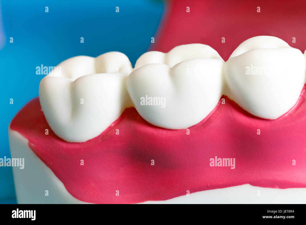 Isolated teeth dentist pine hi-res stock photography and images - Alamy