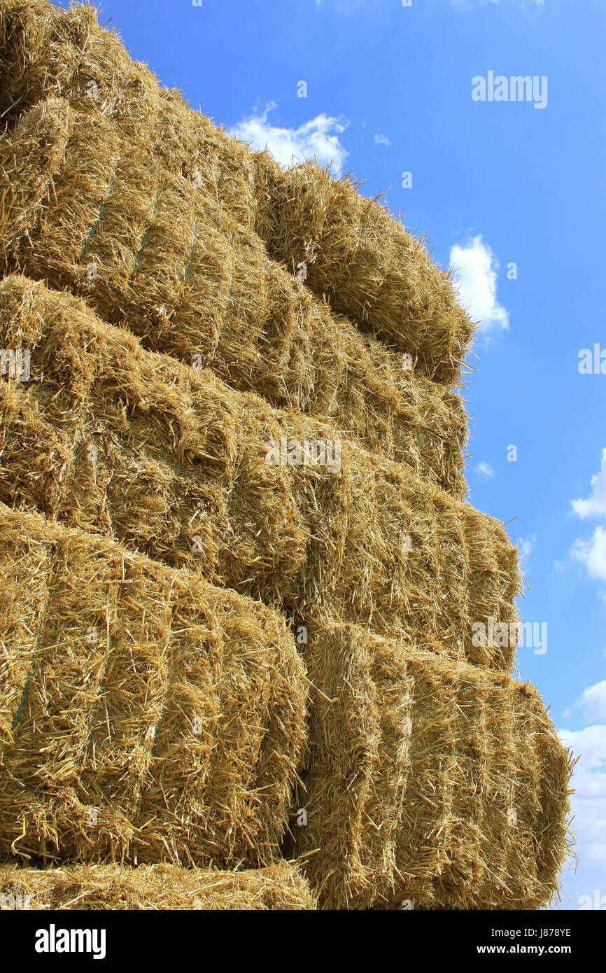agriculture farming hay haystack straw closeup ground soil earth humus ...