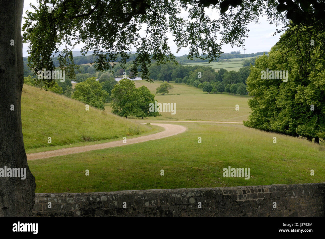 wall, landscape, scenery, countryside, nature, path, way, meadow, grass ...