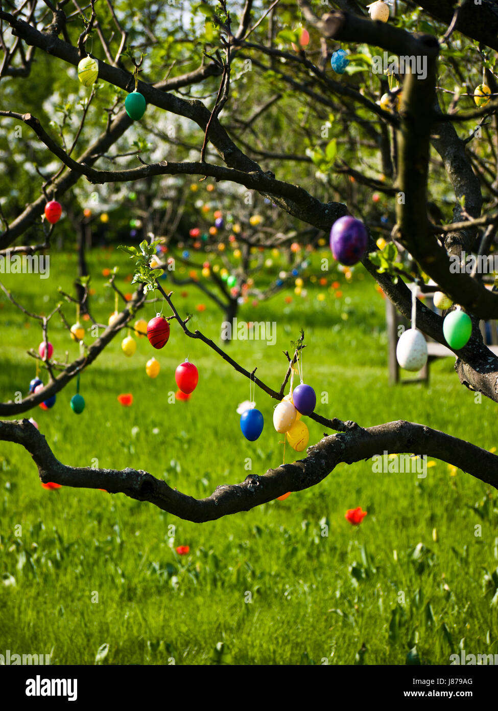 easter, spring, branch, Easter eggs, environment, enviroment, tree ...