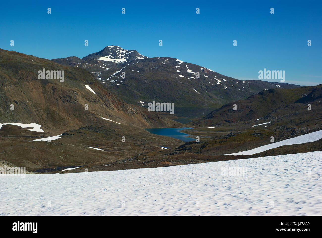 snow, coke, cocaine, material, drug, anaesthetic, addictive drug ...