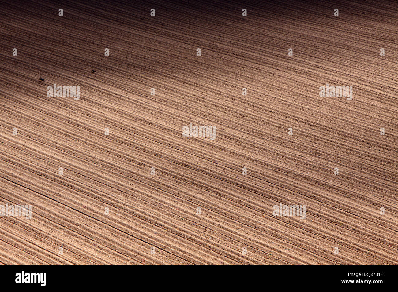 agriculture, farming, field, acre, furrows, cultivation, land, realty ...