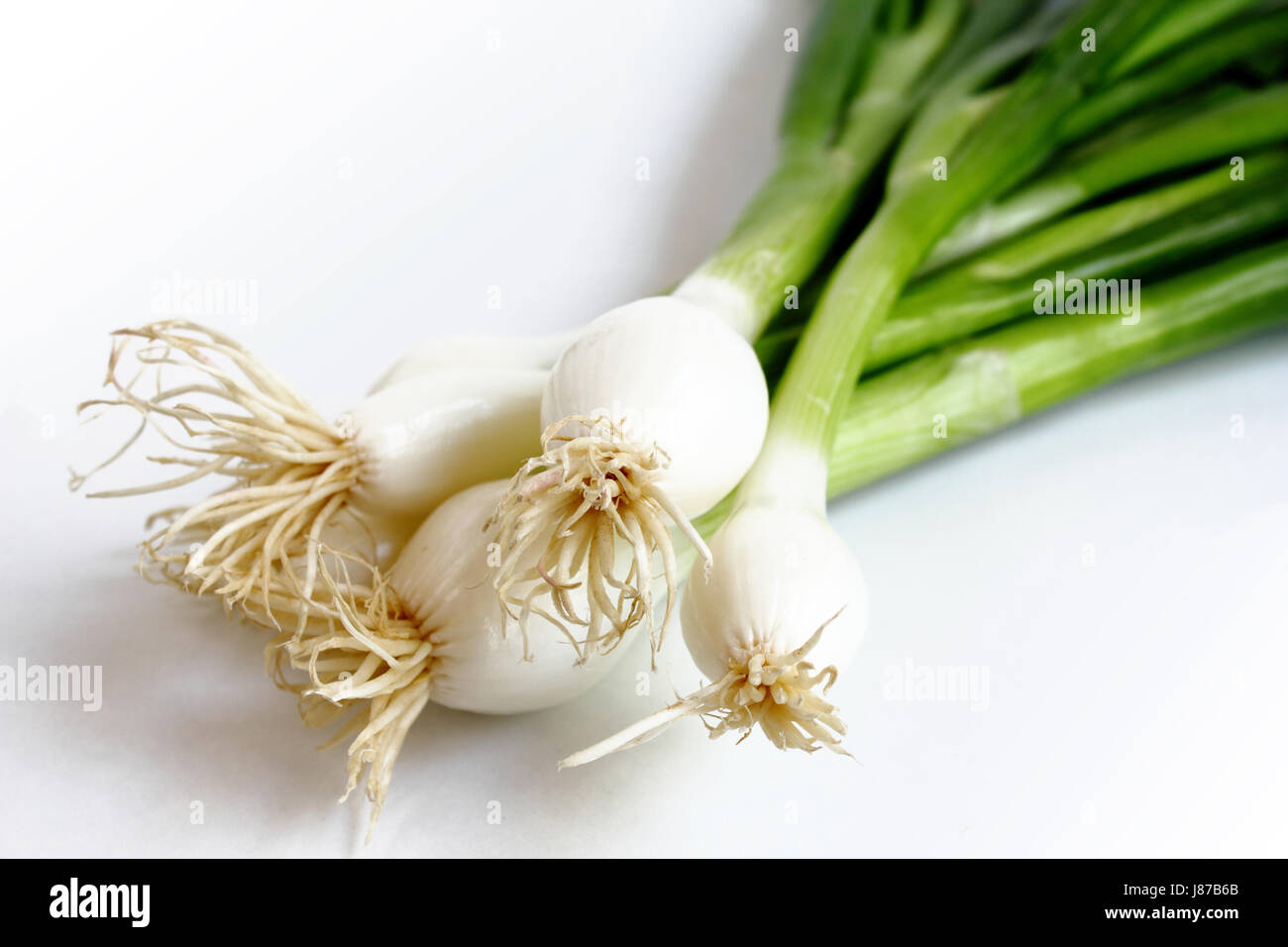 eco, spice, taste, leek, fresh, plant, healthy, food, aliment, health ...