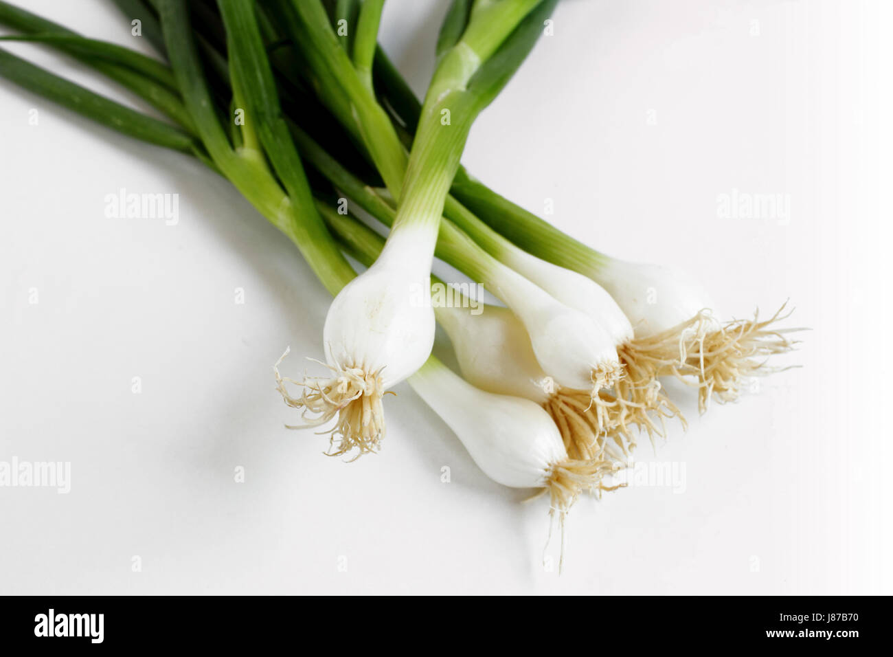 eco, spice, taste, leek, fresh, plant, healthy, food, aliment, health ...