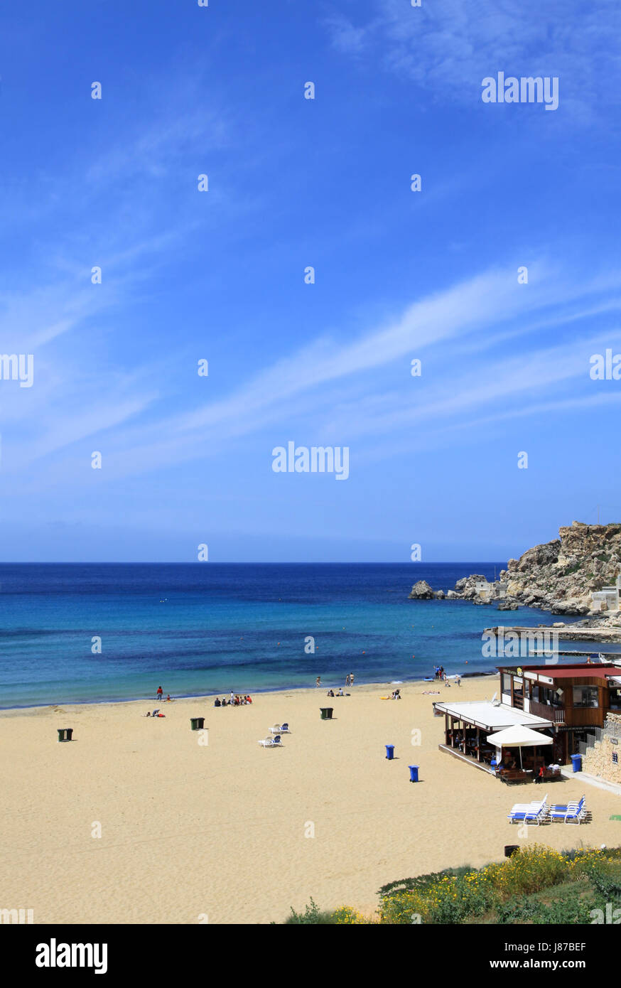 bear, water, mediterranean, salt water, sea, ocean, malta, sandy beach ...