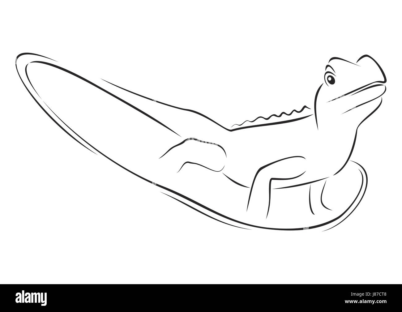 isolated, graphic, animal, reptile, wild, lizard, saurian, black ...