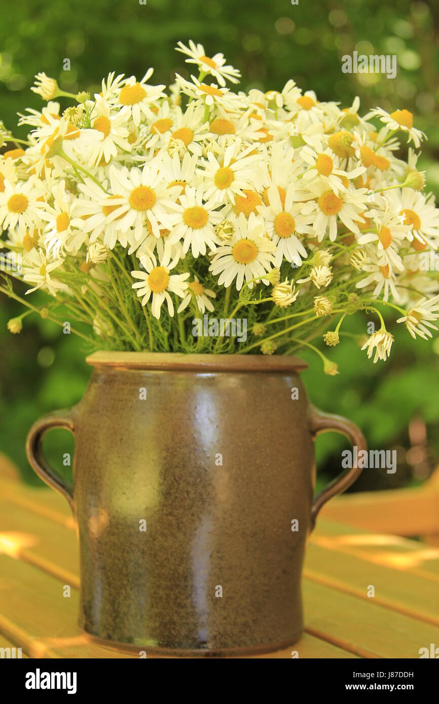 Odorless hi-res stock photography and images - Alamy