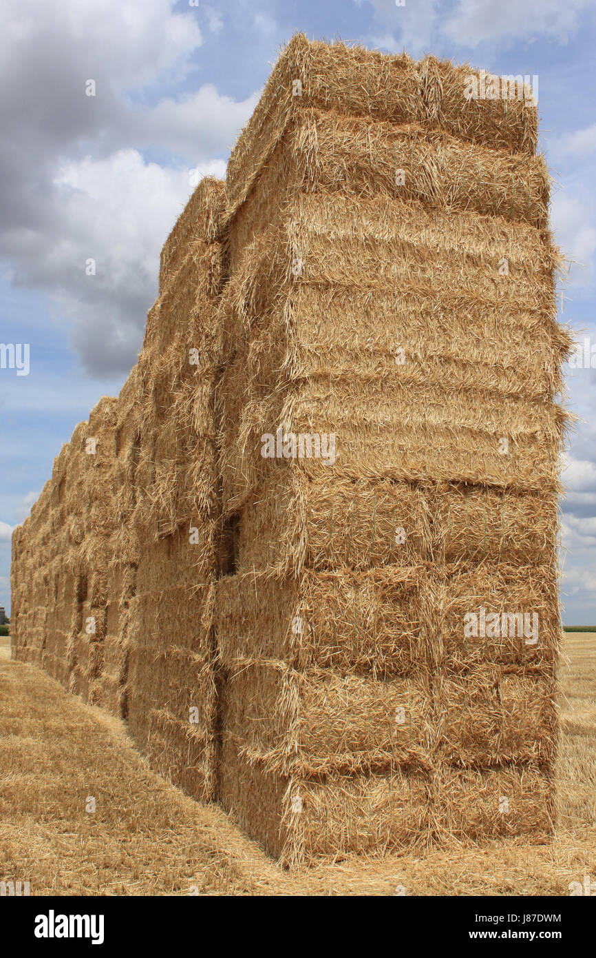 agriculture, farming, field, harvest, hay, haystack, straw, closeup ...