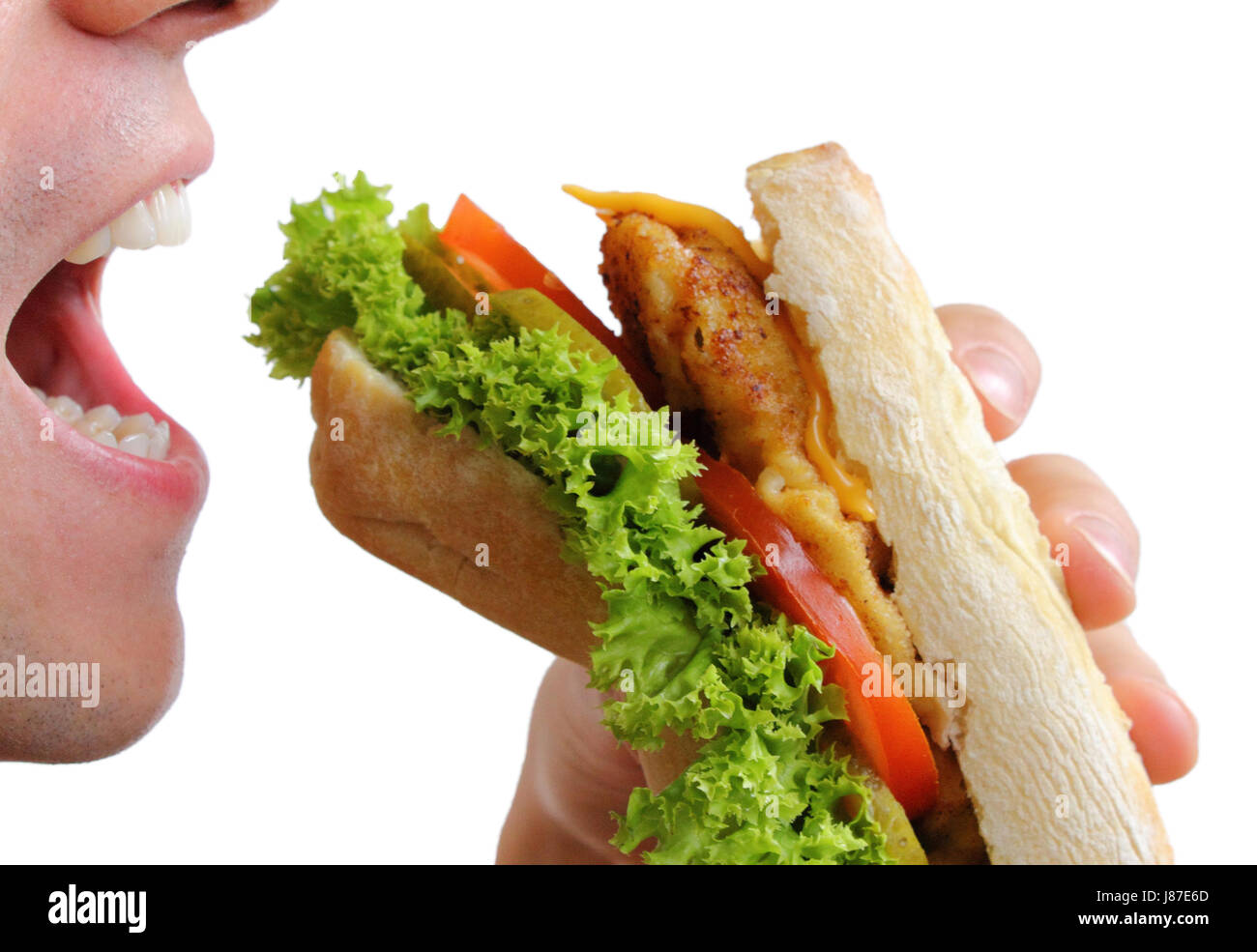 food, aliment, cheese, schnitzel, roll, kaiser, eating, eat, eats ...