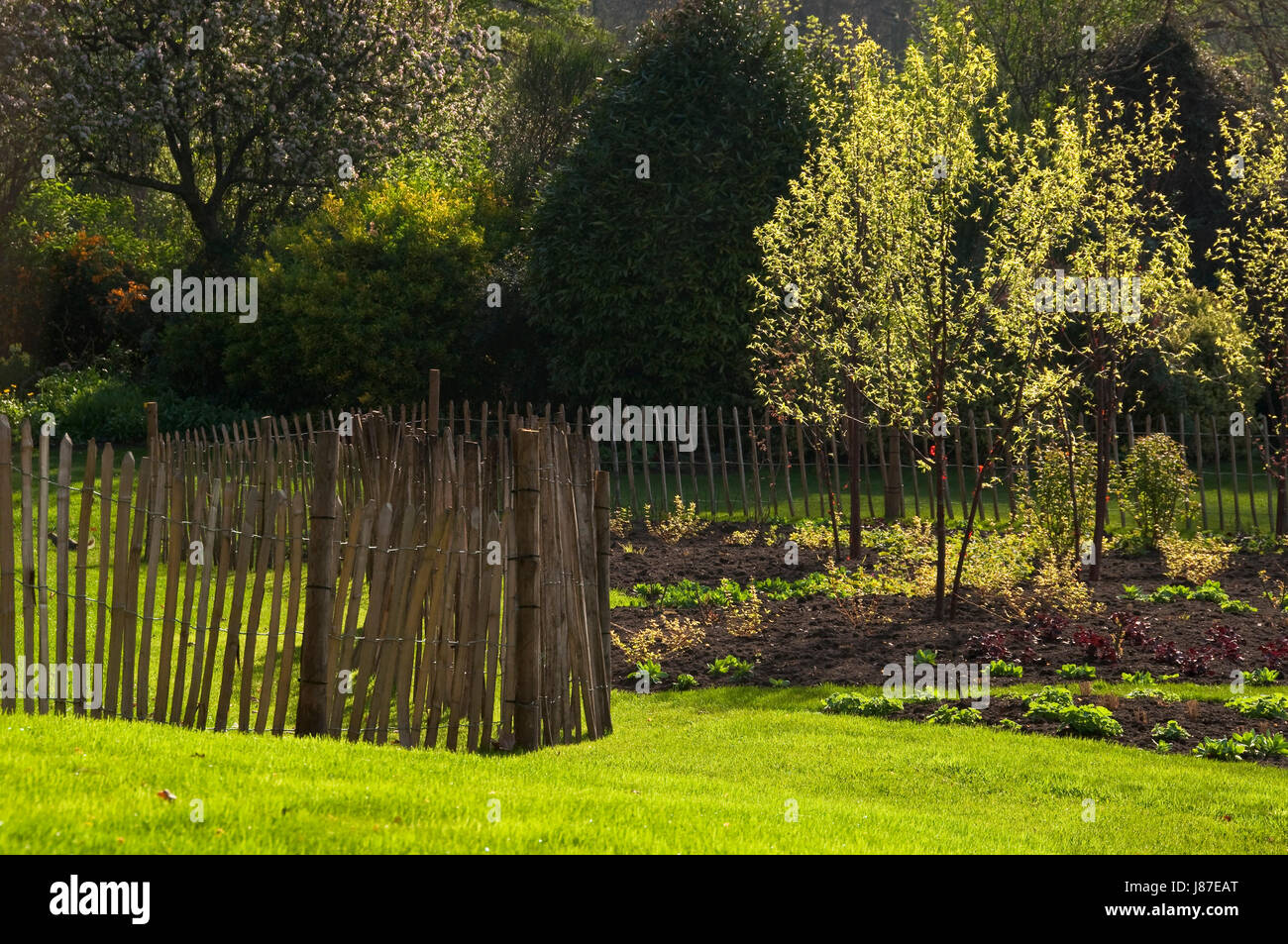 tree, garden, spring, outdoor, fence, fence in, fencing, landscape ...
