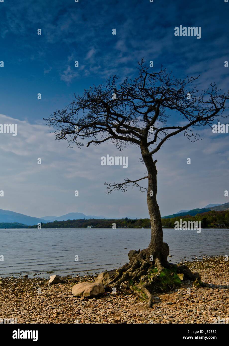 Jumping into lake scotland hi-res stock photography and images - Alamy