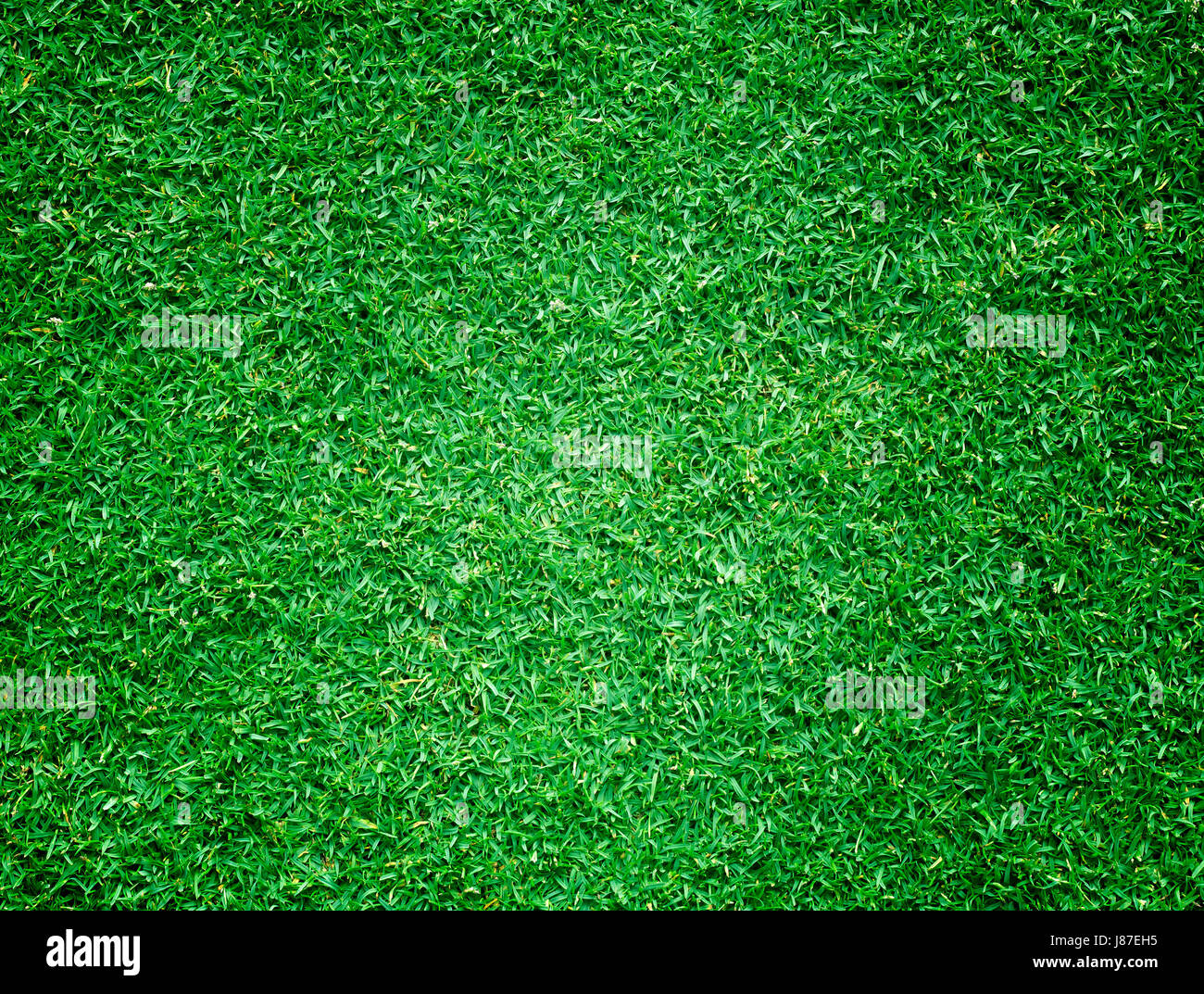 grass background Golf Courses green lawn pattern textured background ...