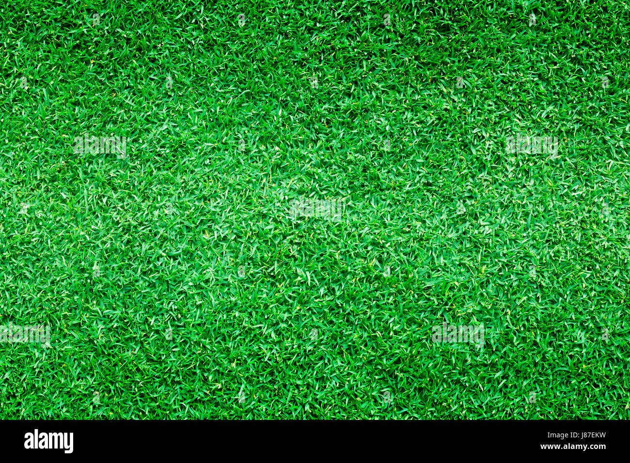 grass background Golf Courses green lawn pattern textured background ...