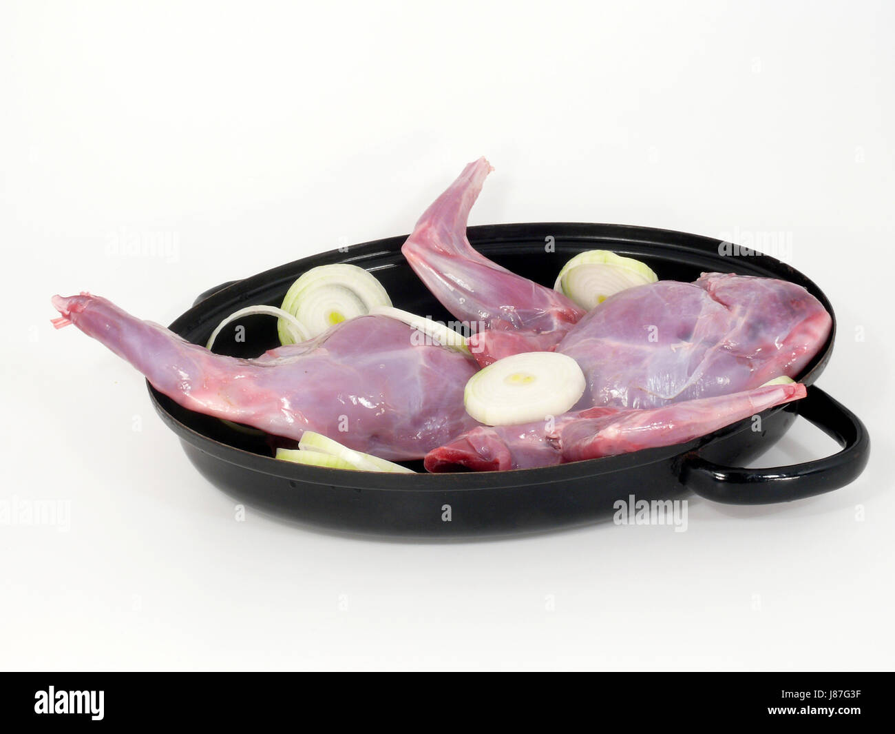 wild, hare, dissected, roast hare, venison, bunny, roast, fry, wild ...