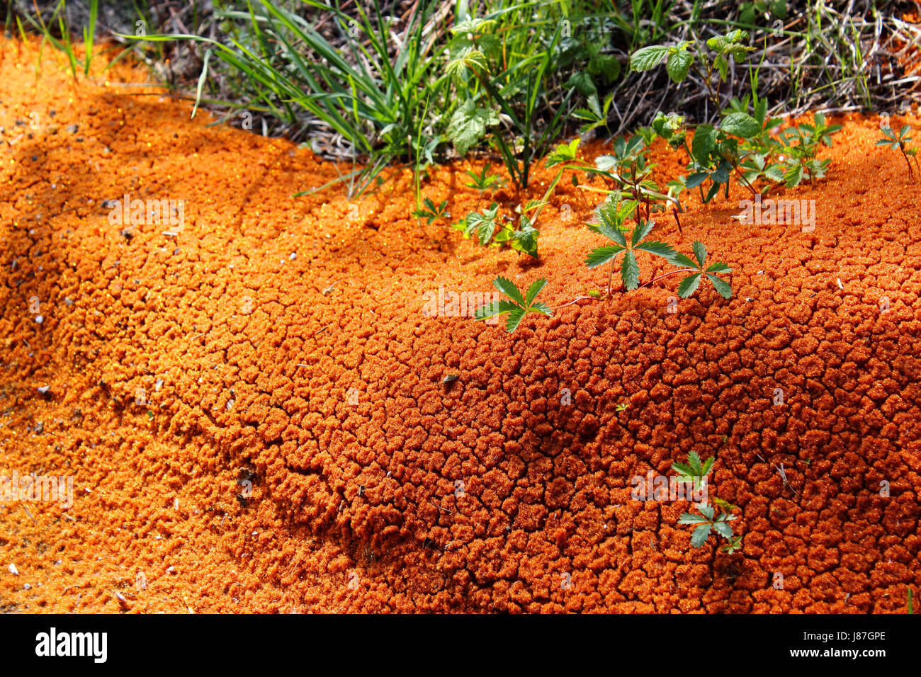 Texture soil hi-res stock photography and images - Alamy