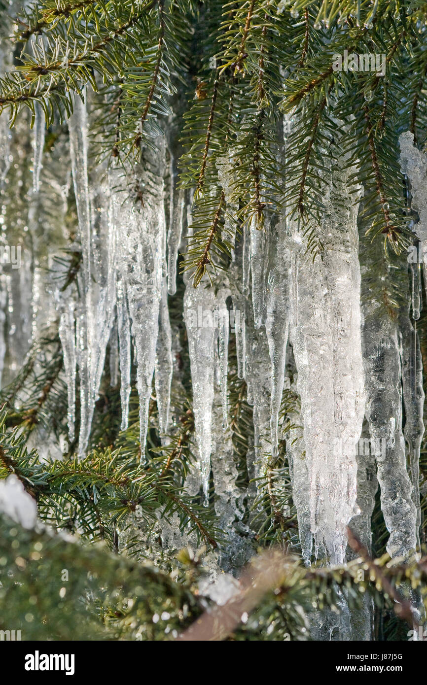 winter, ice, icicle, icicles, wintry, water, weather, shine, shines ...