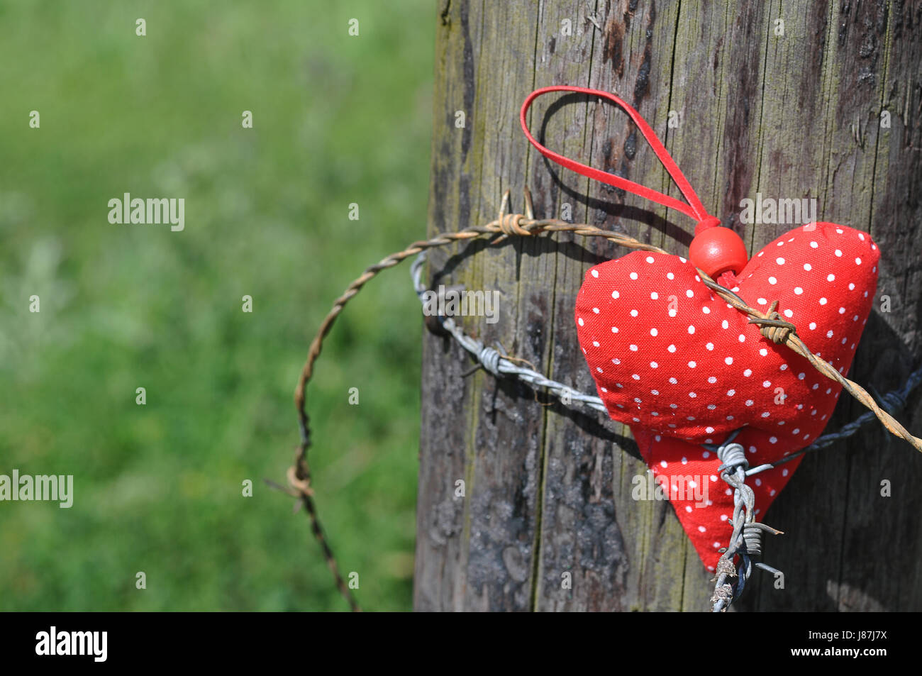 wire, barbed wire, pinioned, love, in love, fell in love, heart ...